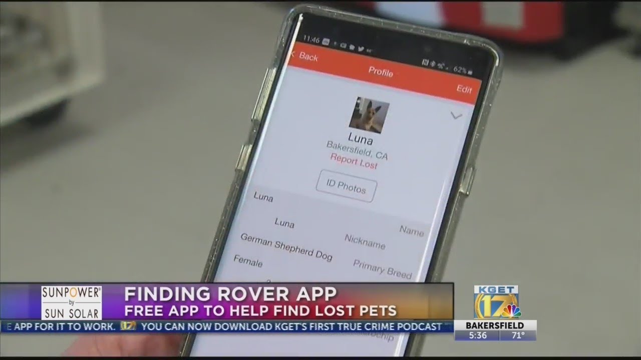 Finding Rover: App to find lost pets - YouTube
