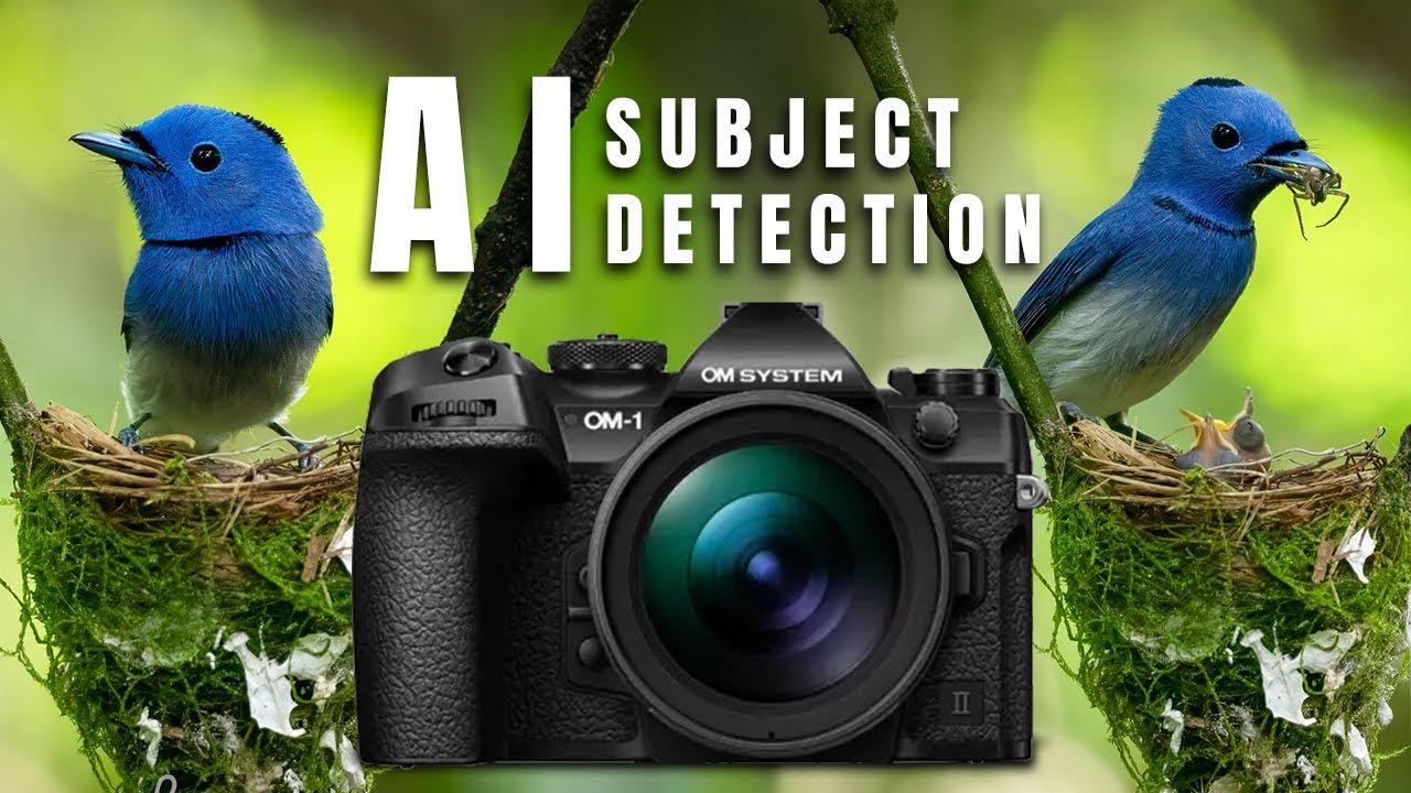 OM SYSTEM ประสิทธิภาพเที่หนือกว่า ด้วย AI Subject Detection - YouTube