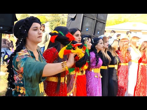 Gençlerin Çok Sevdiği Eğlenceli  Halay Xerzani kurdısh dance Yusuf & Helen düğünü