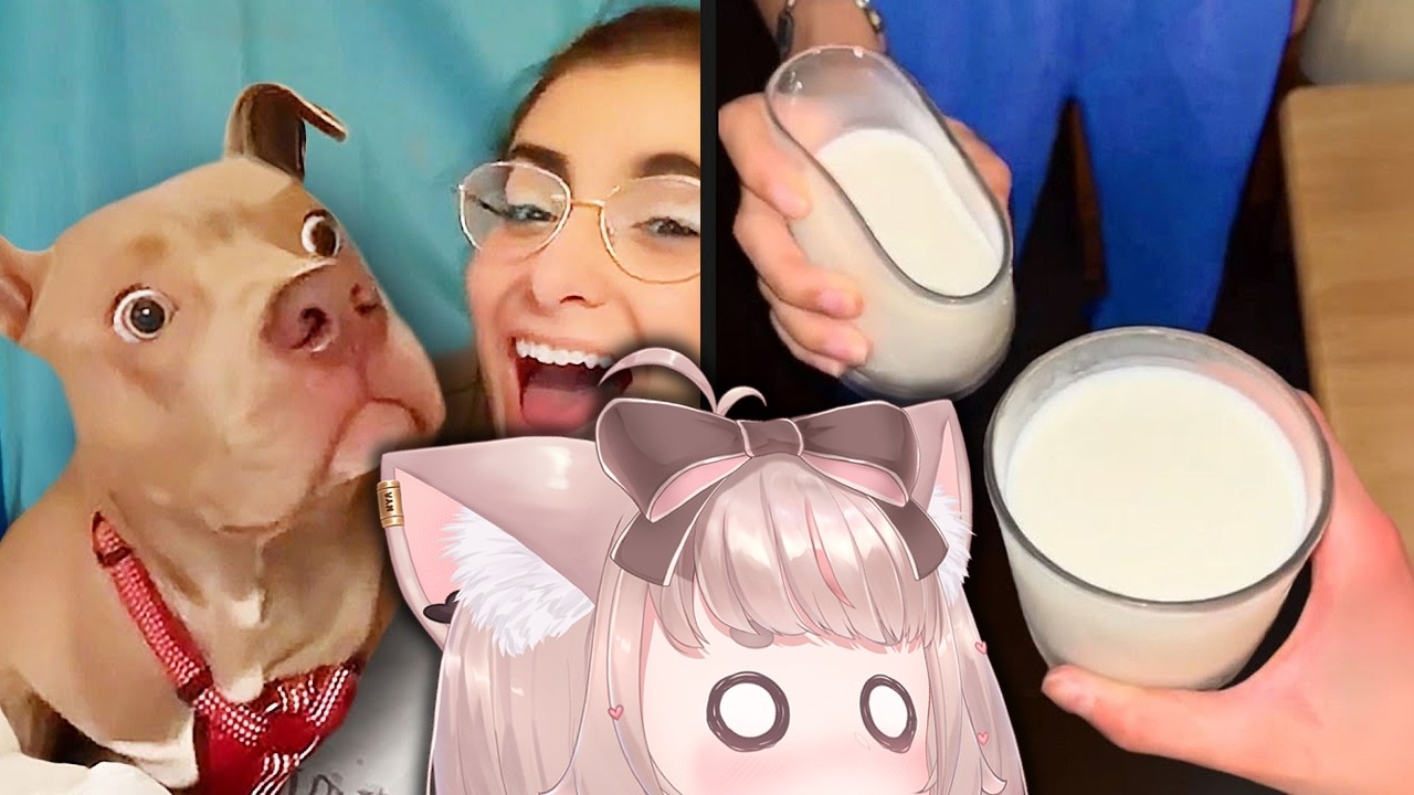 Brain breaking memes.. (Snow Fuwa!)| VTuber Fuwa Reacts to Daily Dose ...