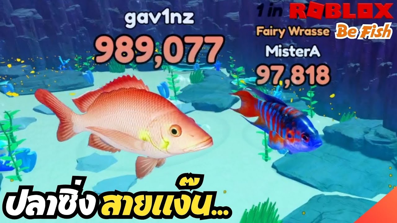 ปลาซิ่ง สายแง๊น... | Roblox Be Fish #2 - YouTube