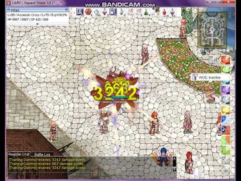 Ragnarok Online Assassin Cross Critical Build 99/70 /pif - YouTube