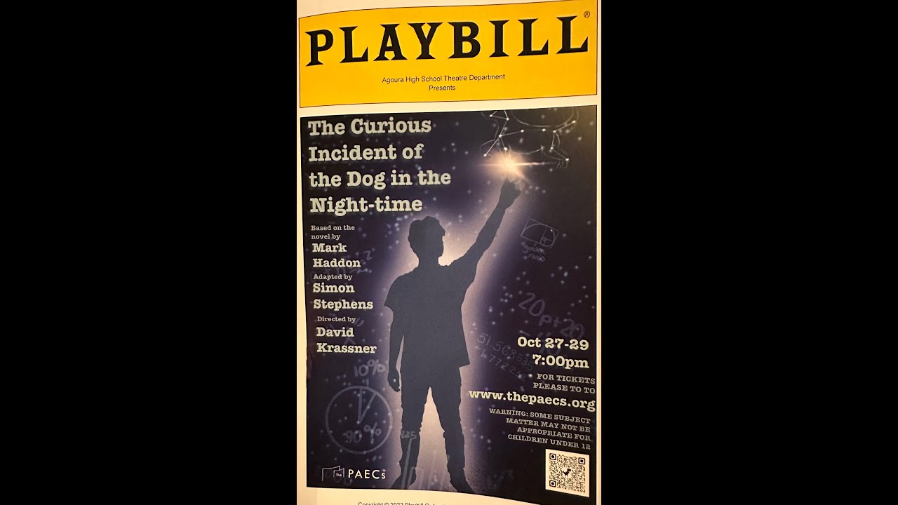 Curious Incident of the Dog in the Night-time AHS Production - YouTube