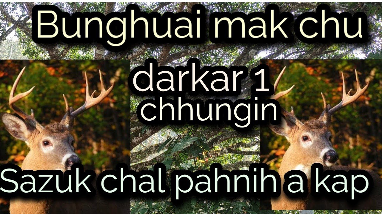Bung huai mak. darkar khat ah Sazuk chal pahnih a kap V Lalhmangaiha ...