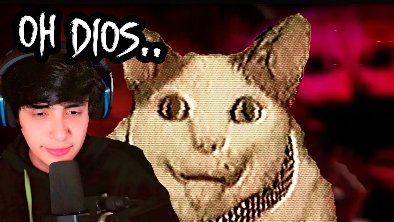 alguien VIO a ESTE GATO? | La historia de kush cat 💀 - YouTube