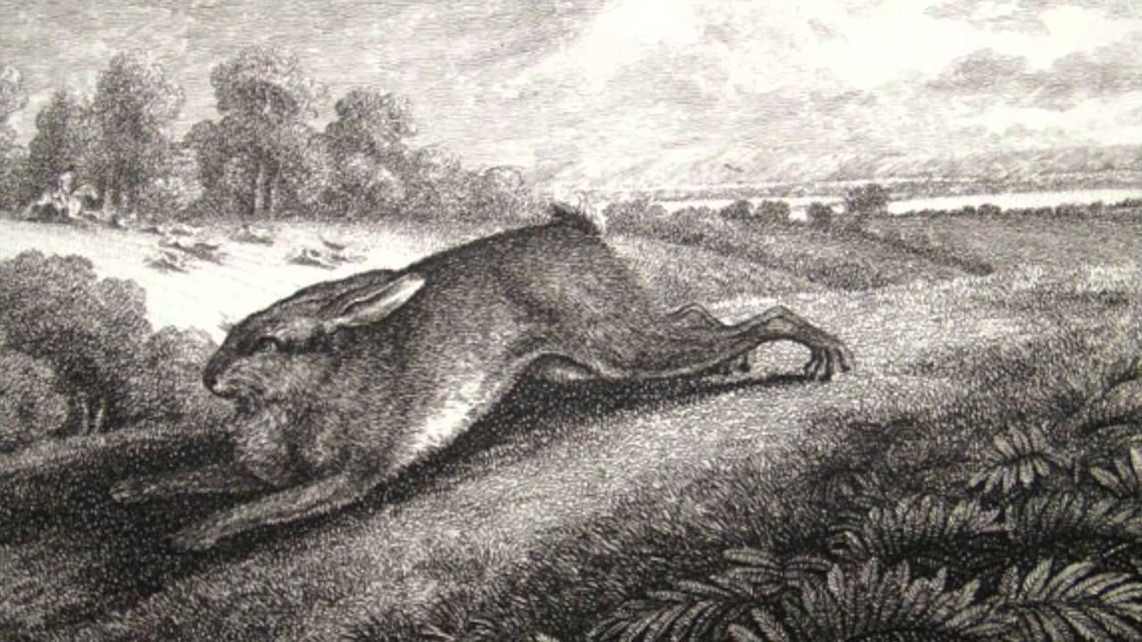 Sproatly Smith - Pretty Saro - YouTube