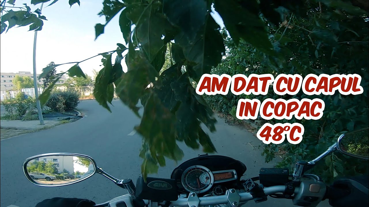 Am dat cu capul in copac | FAPTE ÎN TRAFIC - YouTube