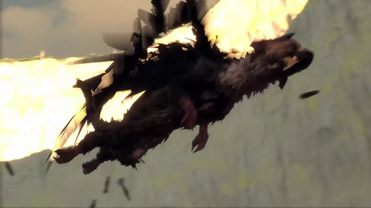 The last guardian bug Trico - YouTube