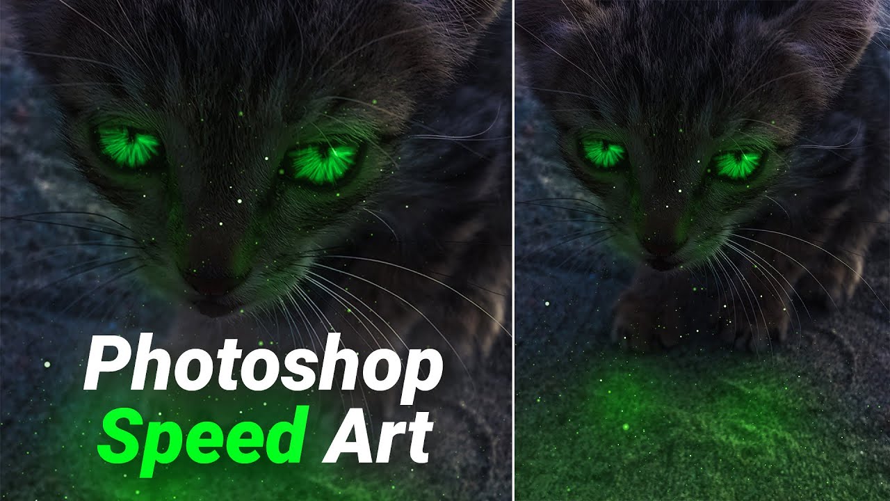 Cat with Blue eyes Photo Manipulation Photoshop Speed Art - YouTube