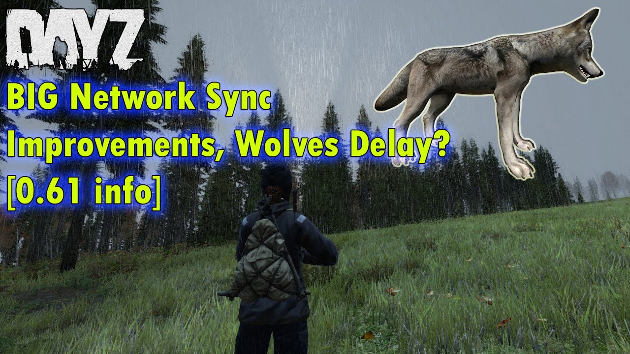 DayZ Standalone: BIG Network Sync. Improvements, Wolves Delay?, [0.61 ...