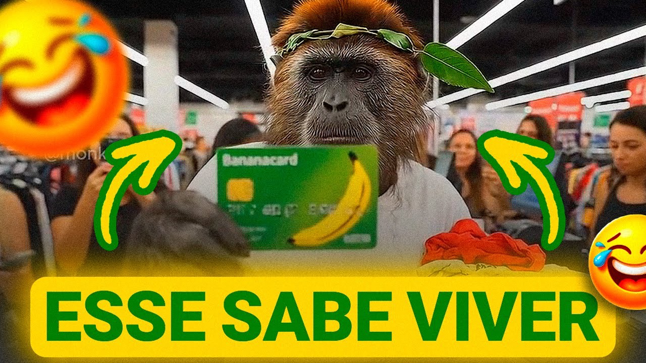 Aventuras Do MACACO LECO - Os Melhores MEMES Virais que Vão te Fazer ...