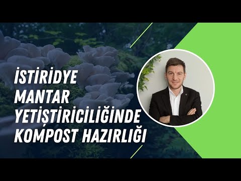 İSTİRİDYE MANTARI YETİŞTİRİCİLİĞİNDE KOMPOST HAZIRLIĞI | TEORİDEN PRATİĞE MANTAR ÜRETİMİ