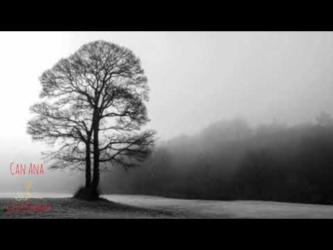 Güler Duman - Can Ana