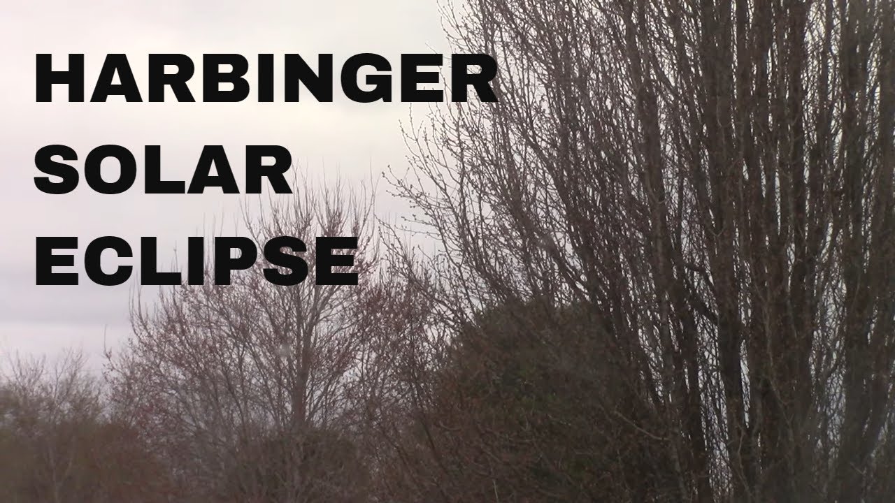 HARBINGER WARNING: Great American Eclipse // Is this GOD's Last Call to ...