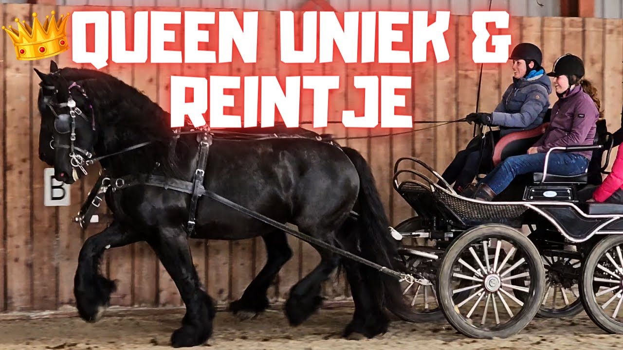 Before they leave Stal G. Queen👑Uniek and Reintje in pair in front of ...