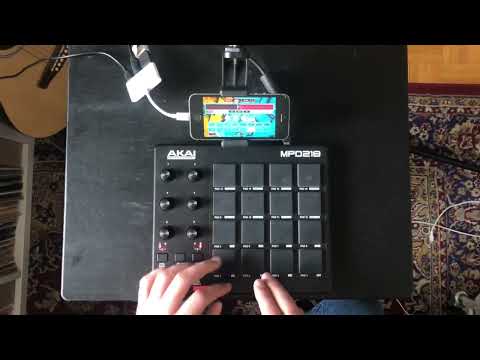 Koala Sampler + Akai MPD218 🐨🌴 JazzyKoala