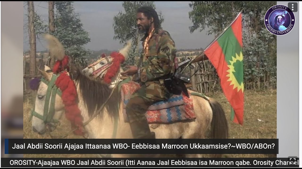 OROSITY-Jaal Sanyii Ajajaa WBO Gidduagalaa Hammeenya Jaal Marroo ...