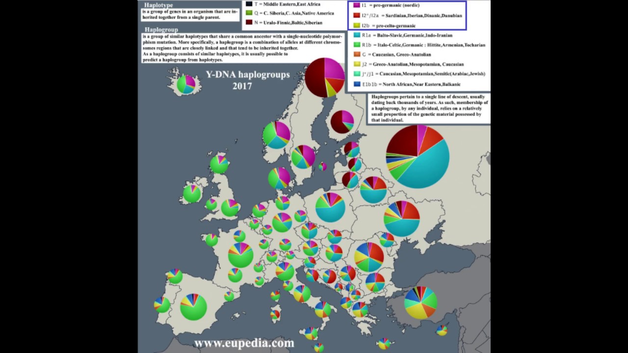 PROTO-EUROPEAN GENES IN MODERN EUROPEANS - YouTube