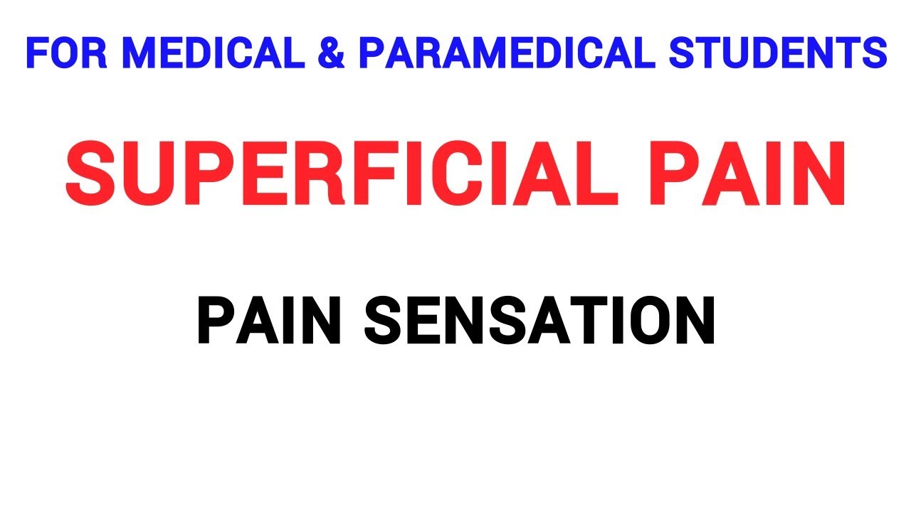 SUPERFICIAL PAIN | PAIN SENSATION | CLINICAL LAB | PHYSIOLOGY - YouTube