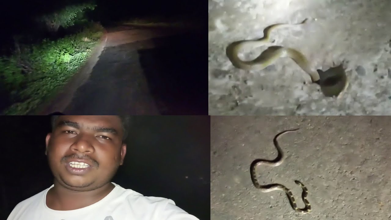 SNAKE CHAPI GALI MO BIKE RE 2 --2 TA SAPA - YouTube