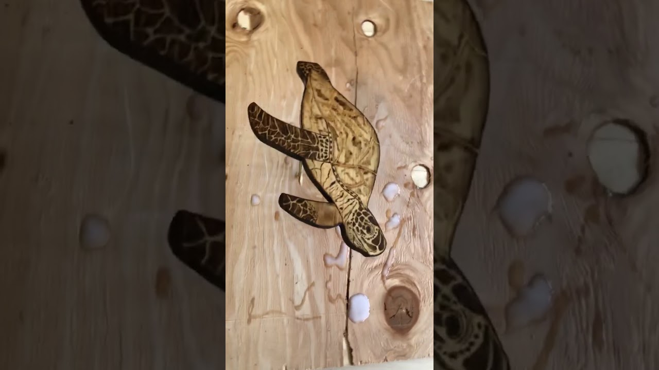 Wood burned sea turtle coated in resin - YouTube
