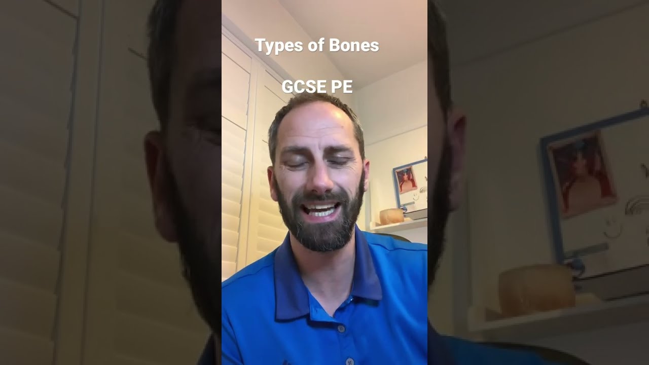 Types Of Bones And Their Functions gcsepe gcse YouTube Types Of Bones And Their Functions gcsepe gcse YouTube