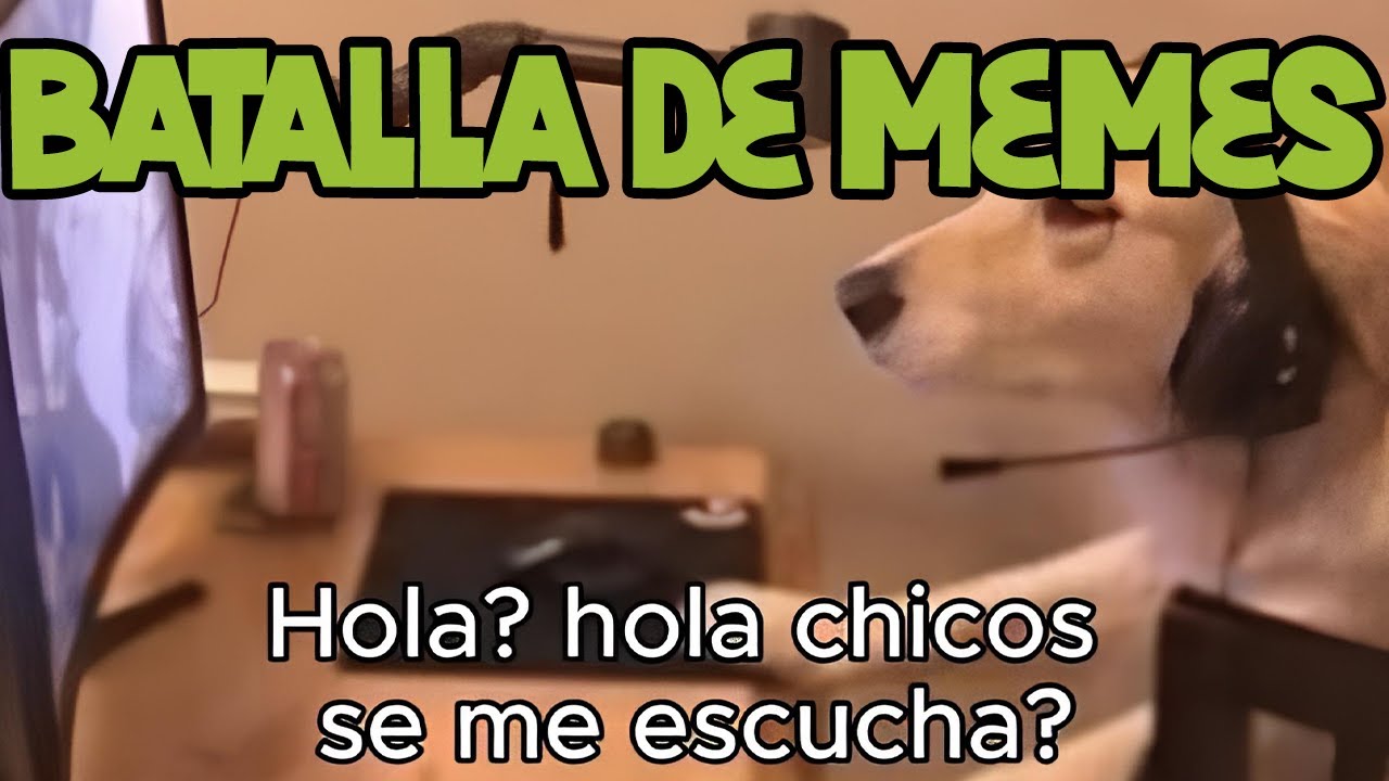 【MEME REACTION】 Buscando al Top memero 🐹🍈 #312 #vtuber #bolivia - YouTube