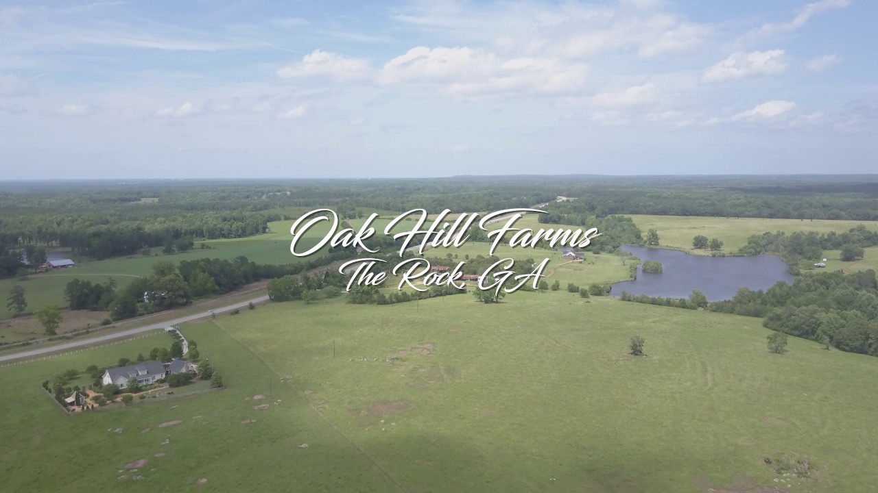 Oak Hill Farms / The Rock, Georgia: Serene Southern Wedding Venue - YouTube