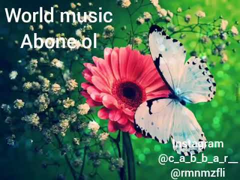 C::R ZERDA FON MUSİC (WORLD MUSİC)