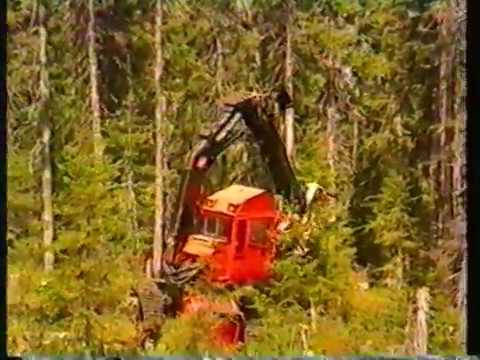Forest Operations 1980 Part 1 - YouTube