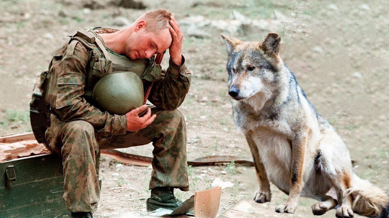 After Returning From Afghanistan, He Was Abandoned By Everyone, But A ...