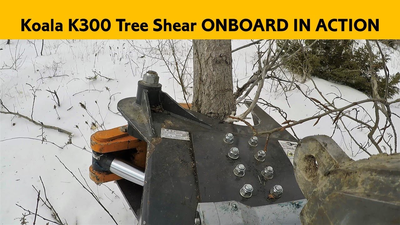 Koala K300 Tree Shear ONBOARD IN ACTION | Morton Equipment - YouTube