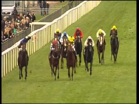 Hannover, Campanologist-Cup, 4.11.2012 - Siegerin: Dancing Shuffle ...