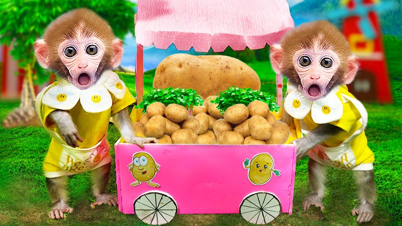 Smart Baby Monkey Bi Bon grows potatoes on the farm to make snacks ...
