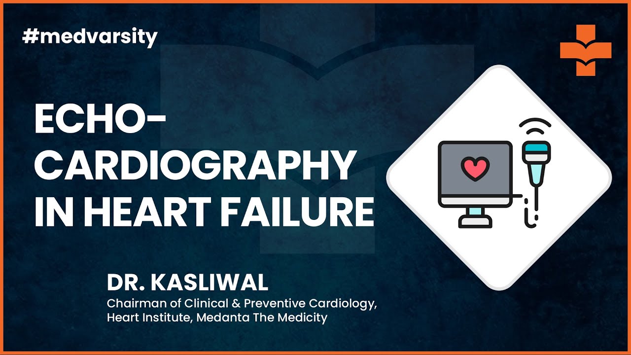 Exploring Echocardiography in Heart Failure: A Comprehensive Case Study ...