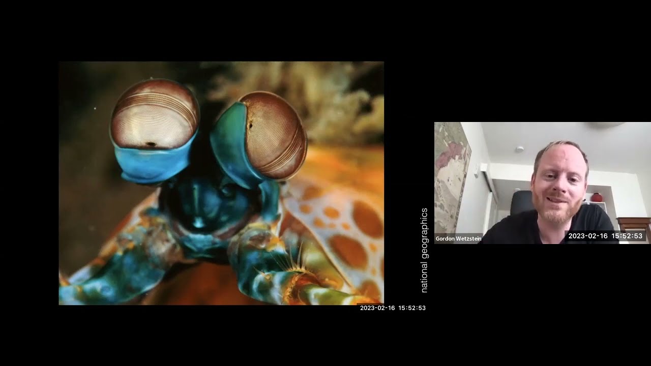 OSC Colloquium: Gordon Wetzstein, "Deep Optics: Learning Cameras ...