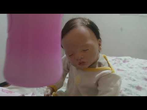 Retina da noite da Lulu