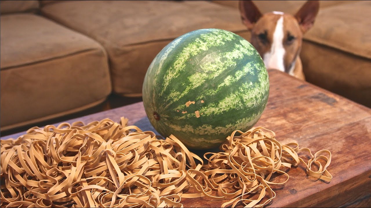 Watermelon vs Rubber Bands - YouTube