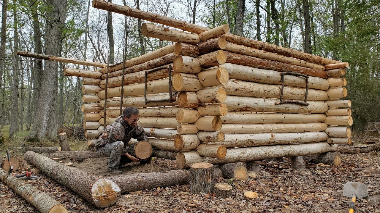 building a tiny rustic wilderness log cabin (episode 17 ) Beefing up ...
