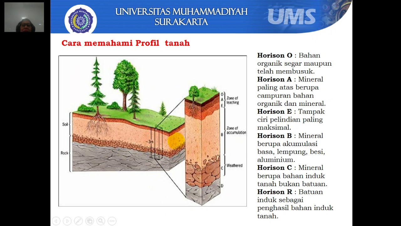 Pengantar Geografi I Objek Material Geografi (Pedosfer) - YouTube
