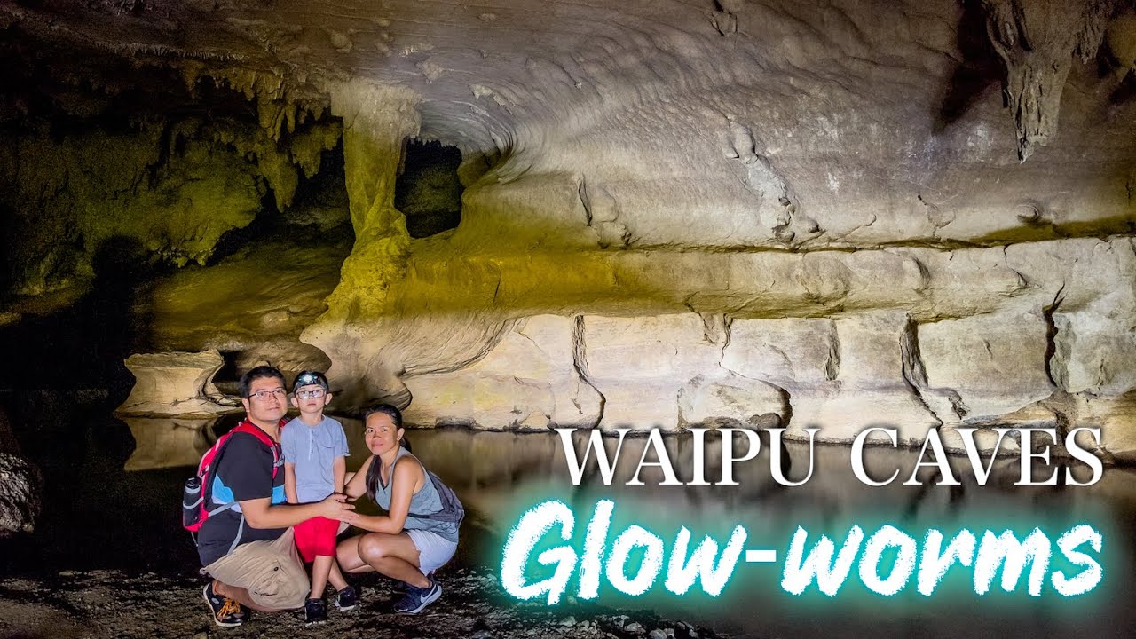 Inside NEW ZEALAND'S GLOWWORMS CAVES || WAIPU CAVES || NORTHLAND NZ ...