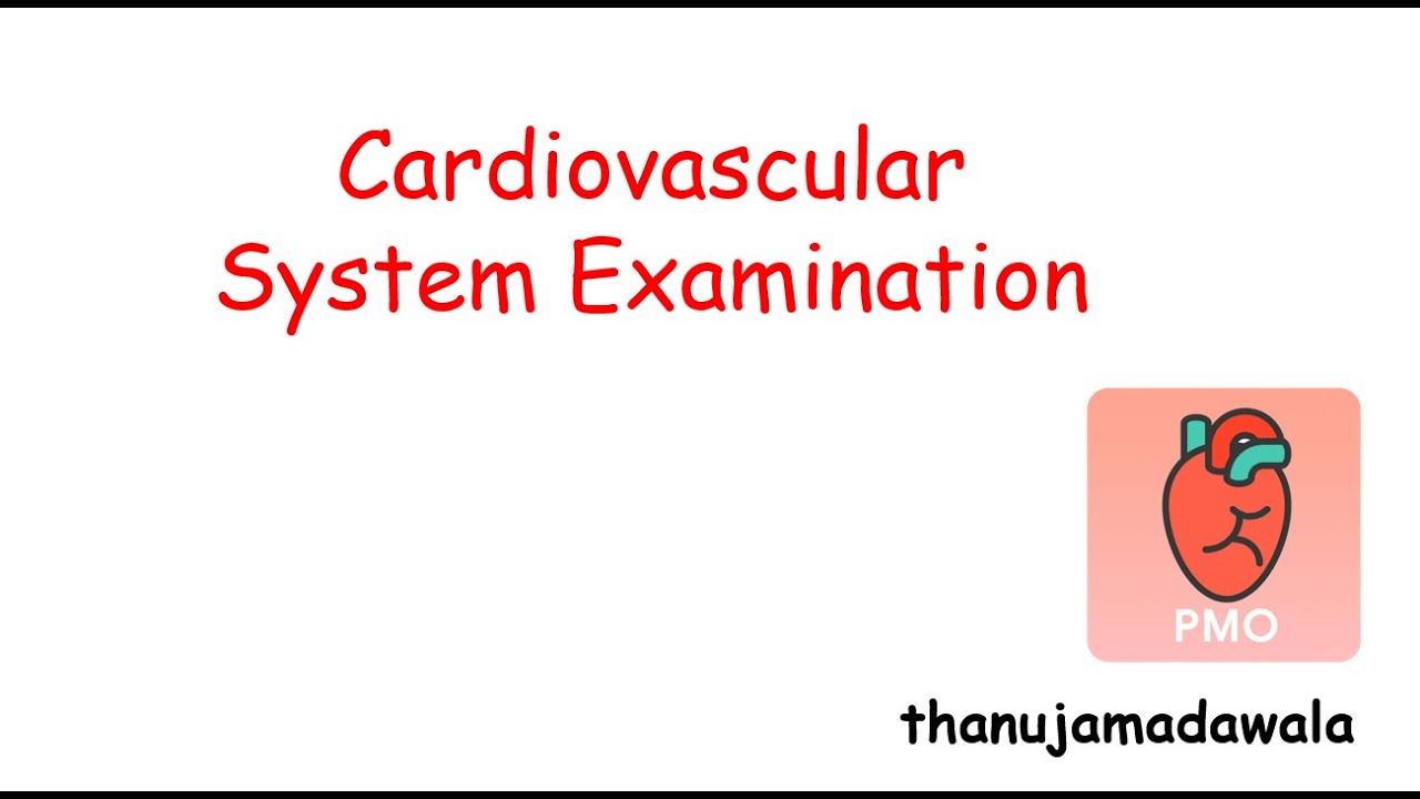 Cardiovascular System Examination - YouTube