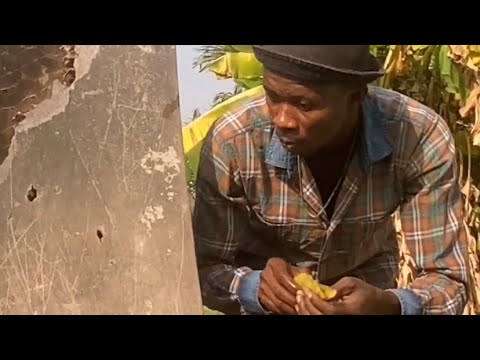 Baba must go back to the bush 😂😂 #comedy #subscribe #fy #trend #videos ...
