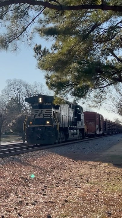 #short #train NS 916 NB #ac44c6m NS #4499 pass by Thomasville NC #december2023 - YouTube