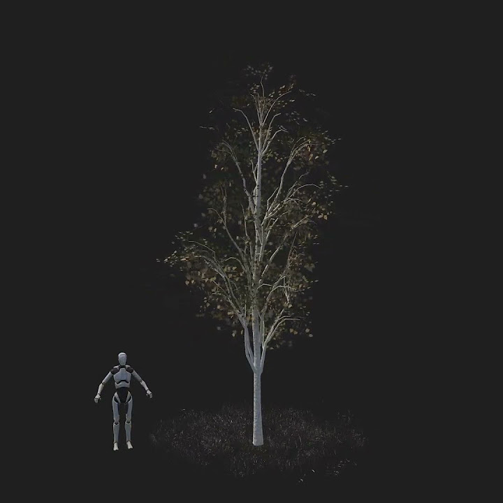 Birch Autumn V1 Gamedev 3dmodeling Unity Unityassetstore Unityasset Speedtree Youtube