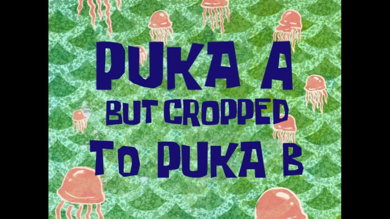 Puka A but CROPPED to Puka B - YouTube