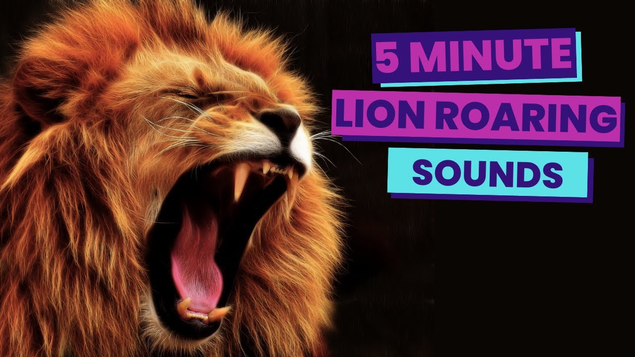 Lion Roar Challenge: Can Your Pet Handle the Sound? - YouTube