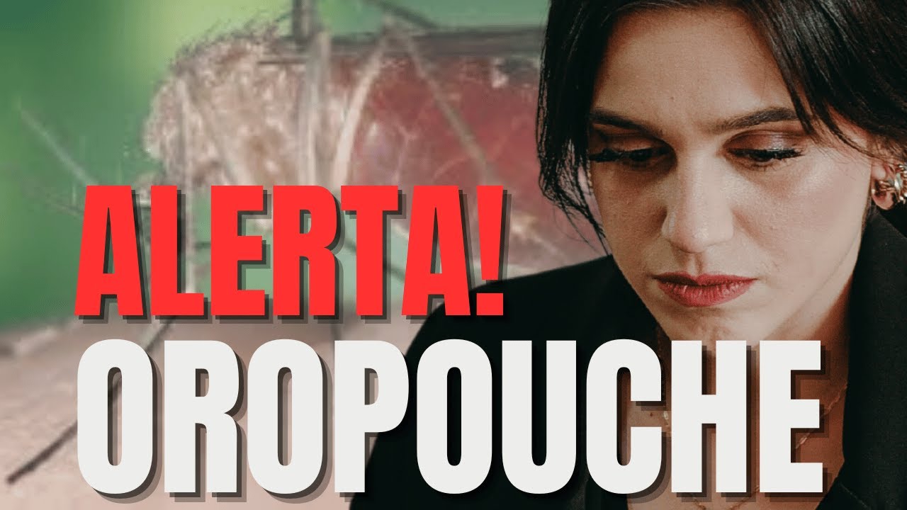 Febre do Oropouche: Tudo o que Você Precisa Saber - YouTube