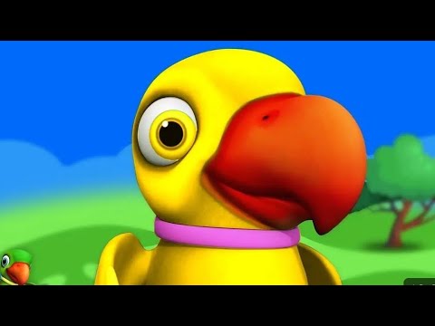 Mithu Mithu Main Toota | main toota main toota | Urdu poem for kids ...