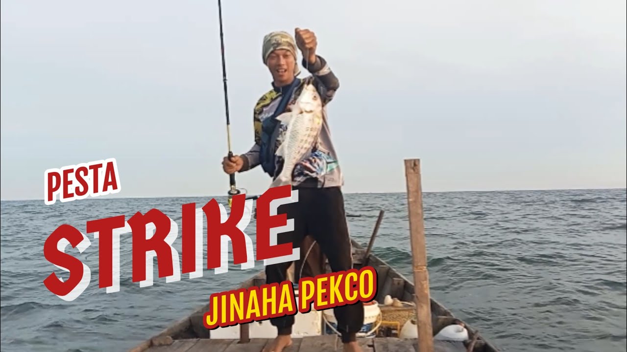 PESTA STRIKE IKAN PEKCO DAN JENAHA part 2#fishing #mancinglaut # ...